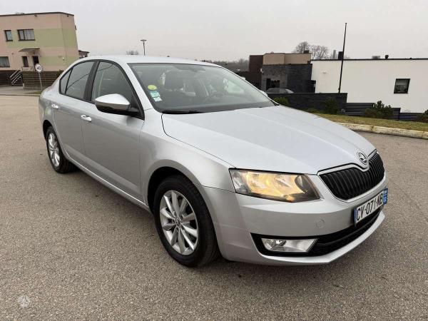Pelēks Skoda Octavia 2013 Tauragė, ar dzinēja tilpumu 1.60 L un nobraukumu 317 tūkst. km par 4600 €, foto 10 vietnē AUTOMOTO.COM.LV