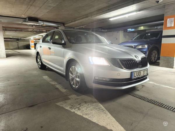 Grey Skoda Octavia 2017 in Vilnius, with an engine capacity of 1.60 L and mileage of 250 thousand km for 7500 €, photo 1 on AUTOMOTO.COM.LV