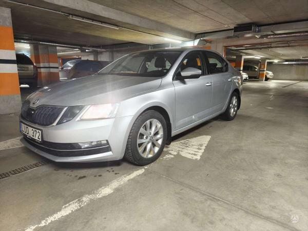 Grey Skoda Octavia 2017 in Vilnius, with an engine capacity of 1.60 L and mileage of 250 thousand km for 7500 €, photo 2 on AUTOMOTO.COM.LV