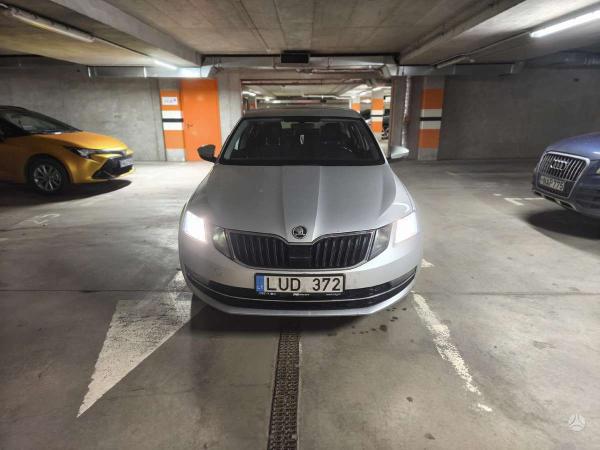 Grey Skoda Octavia 2017 in Vilnius, with an engine capacity of 1.60 L and mileage of 250 thousand km for 7500 €, photo 3 on AUTOMOTO.COM.LV