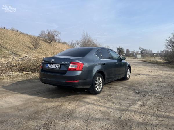 Pelēks Skoda Octavia 2017 Vievis, ar dzinēja tilpumu 1.60 L un nobraukumu 345 tūkst. km par 5000 €, foto 4 vietnē AUTOMOTO.COM.LV