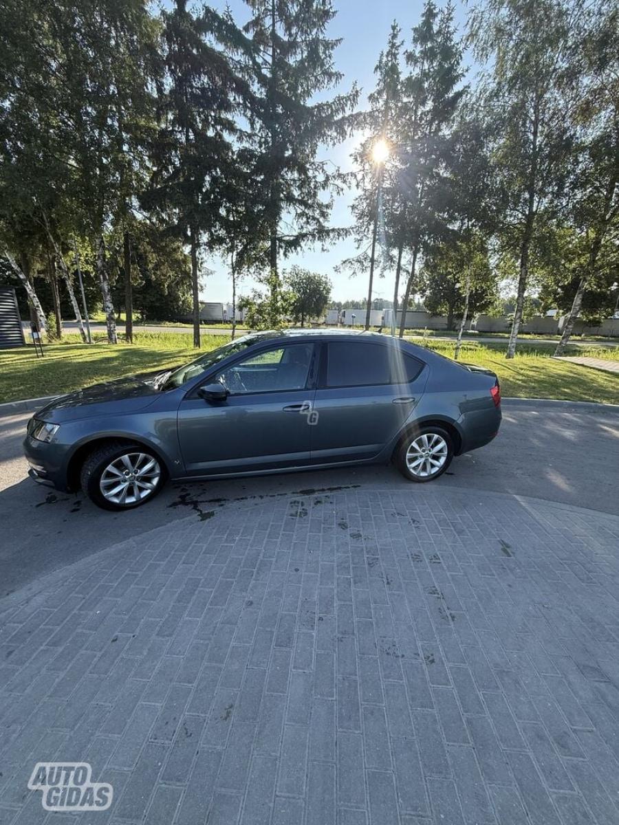Grey Skoda Octavia 2017 in Vilnius, with an engine capacity of 1.60 L and mileage of 297 thousand km for 7000 €, photo 3 on AUTOMOTO.COM.LV