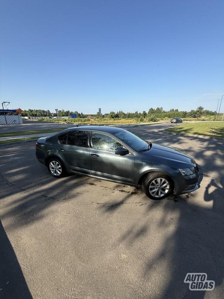Grey Skoda Octavia 2017 in Vilnius, with an engine capacity of 1.60 L and mileage of 297 thousand km for 7000 €, photo 9 on AUTOMOTO.COM.LV