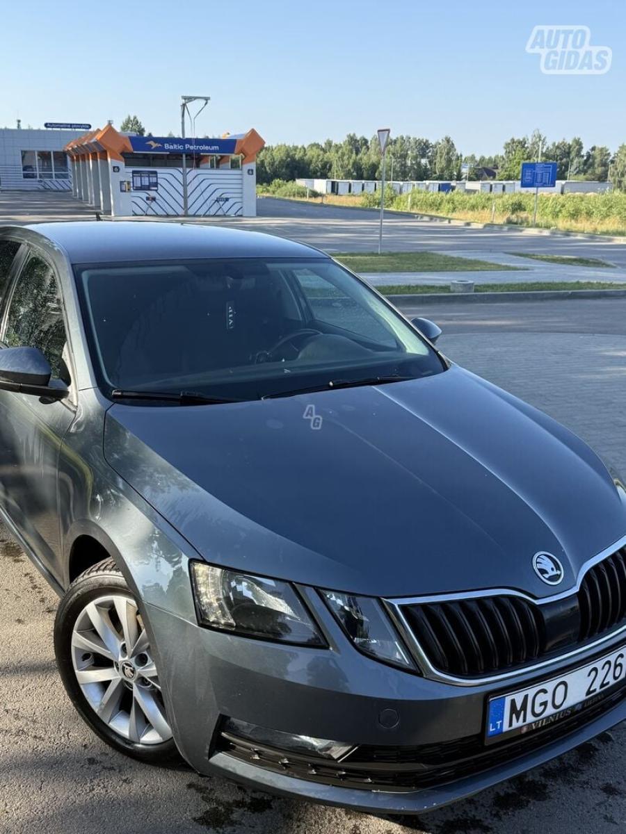 Grey Skoda Octavia 2017 in Vilnius, with an engine capacity of 1.60 L and mileage of 297 thousand km for 7000 €, photo 10 on AUTOMOTO.COM.LV