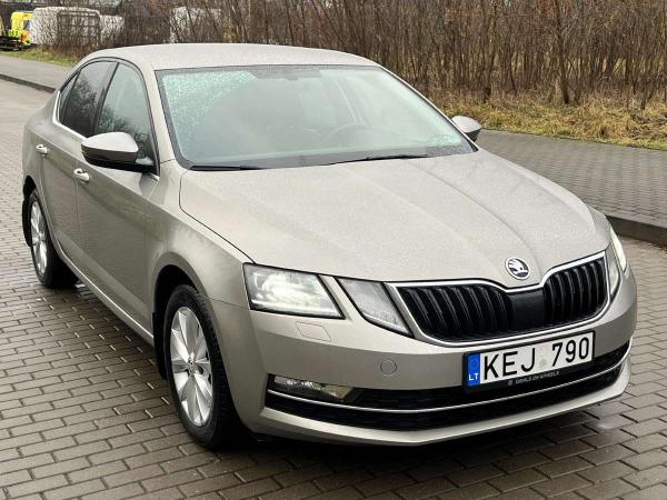 Grey Skoda Octavia 2018 in Vilnius, with an engine capacity of 1.80 L and mileage of 235 thousand km for 11000 €, photo 5 on AUTOMOTO.COM.LV