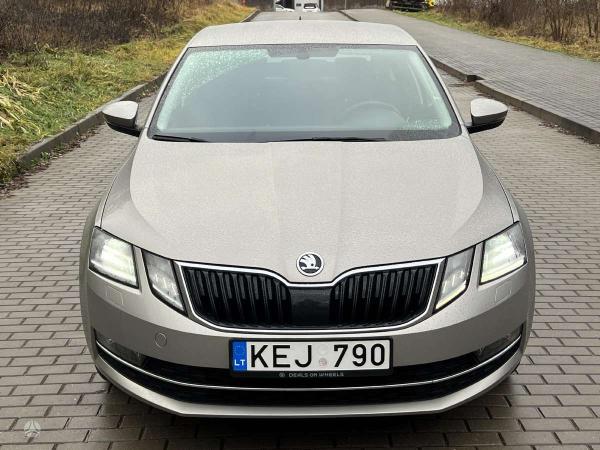 Grey Skoda Octavia 2018 in Vilnius, with an engine capacity of 1.80 L and mileage of 235 thousand km for 11000 €, photo 6 on AUTOMOTO.COM.LV
