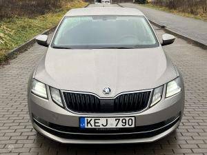 Pelēks Skoda Octavia 2018 Viļņa, ar dzinēja tilpumu 1.80 L un nobraukumu 235 tūkst. km par 11000 €, foto 6 vietnē AUTOMOTO.COM.LV