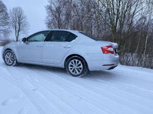 Grey Skoda Octavia 2018 in Vilnius, with an engine capacity of 1.60 L and mileage of 70 thousand km for 11900 €, photo 7 on AUTOMOTO.COM.LV
