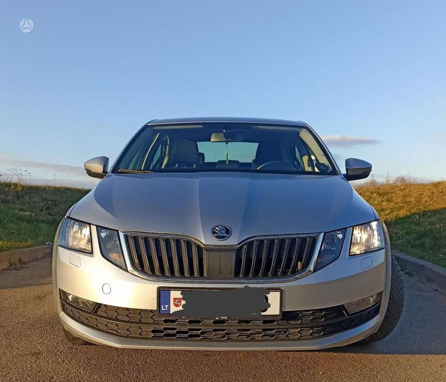 Pelēks Skoda Octavia 2018 Viļņa, ar dzinēja tilpumu 1.60 L un nobraukumu 161 tūkst. km par 9200 €, foto 3 vietnē AUTOMOTO.COM.LV