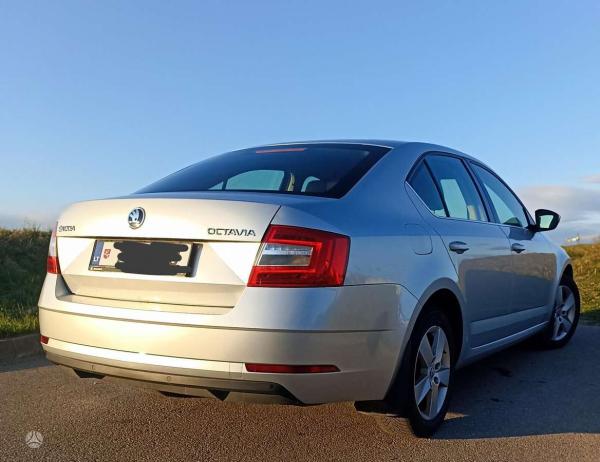 Pelēks Skoda Octavia 2018 Viļņa, ar dzinēja tilpumu 1.60 L un nobraukumu 161 tūkst. km par 9200 €, foto 5 vietnē AUTOMOTO.COM.LV