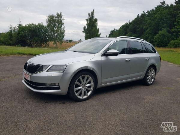 Grey Skoda Octavia 2018 in Vilnius, with an engine capacity of 1.00 L and mileage of 219 thousand km for 8200 €, photo 3 on AUTOMOTO.COM.LV