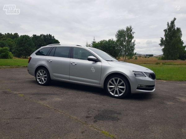 Grey Skoda Octavia 2018 in Vilnius, with an engine capacity of 1.00 L and mileage of 219 thousand km for 8200 €, photo 8 on AUTOMOTO.COM.LV