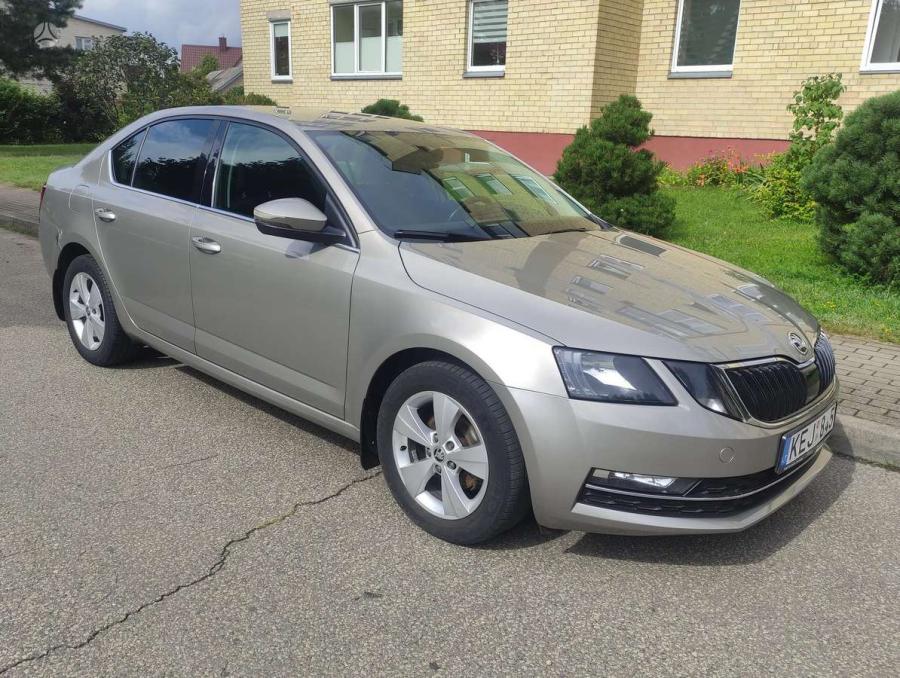 Grey Skoda Octavia 2018 in Panevezys, with an engine capacity of 1.60 L and mileage of 124 thousand km for 10500 €, photo 1 on AUTOMOTO.COM.LV