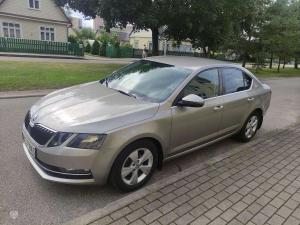 Grey Skoda Octavia 2018 in Panevezys, with an engine capacity of 1.60 L and mileage of 124 thousand km for 10500 €, photo 8 on AUTOMOTO.COM.LV