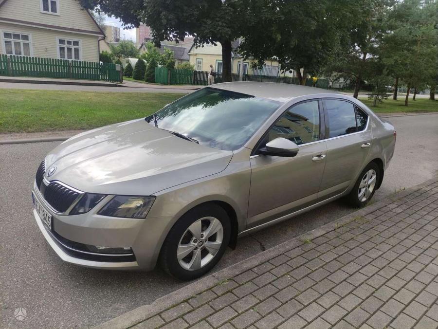 Grey Skoda Octavia 2018 in Panevezys, with an engine capacity of 1.60 L and mileage of 124 thousand km for 10500 €, photo 8 on AUTOMOTO.COM.LV