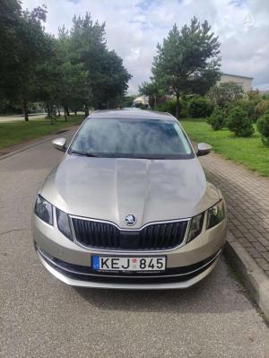 Grey Skoda Octavia 2018 in Panevezys, with an engine capacity of 1.60 L and mileage of 124 thousand km for 10500 €, photo 25 on AUTOMOTO.COM.LV