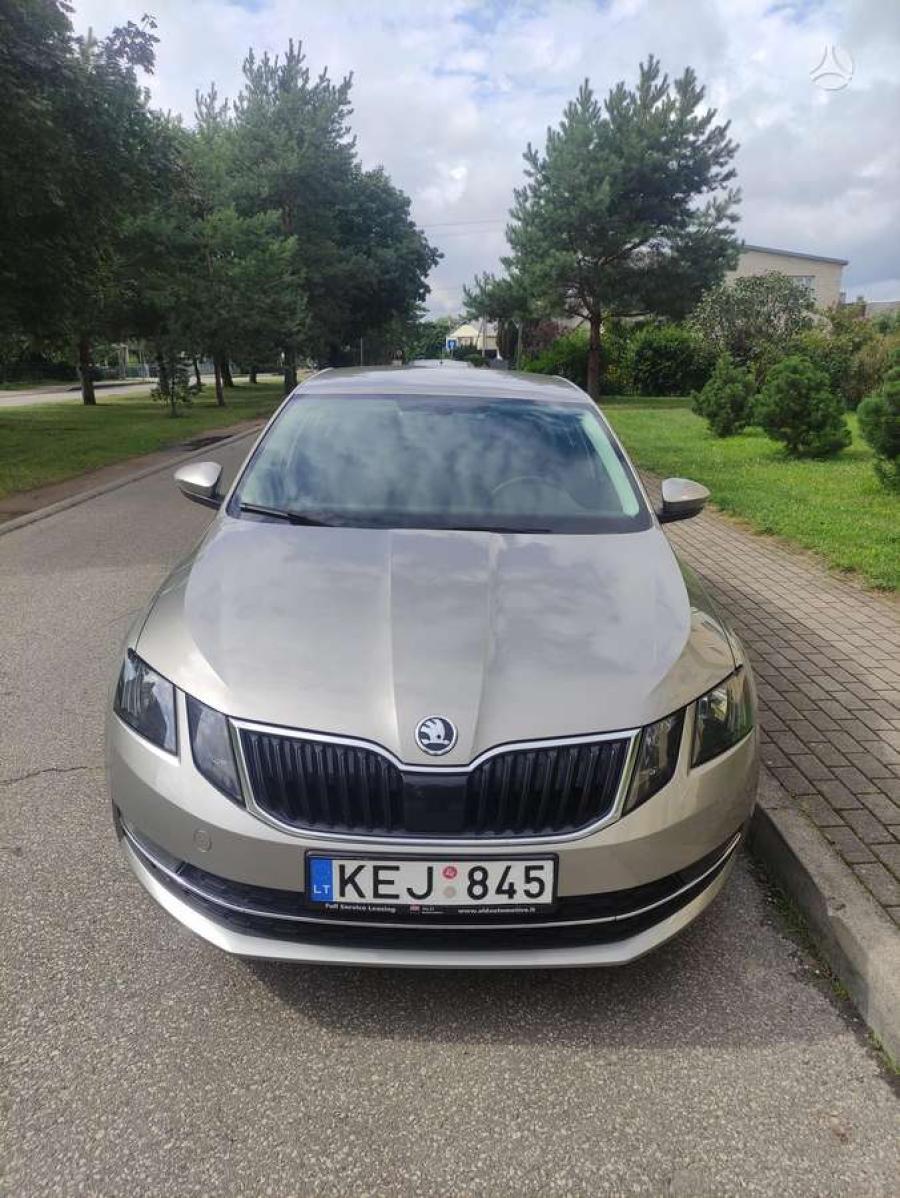 Grey Skoda Octavia 2018 in Panevezys, with an engine capacity of 1.60 L and mileage of 124 thousand km for 10500 €, photo 25 on AUTOMOTO.COM.LV