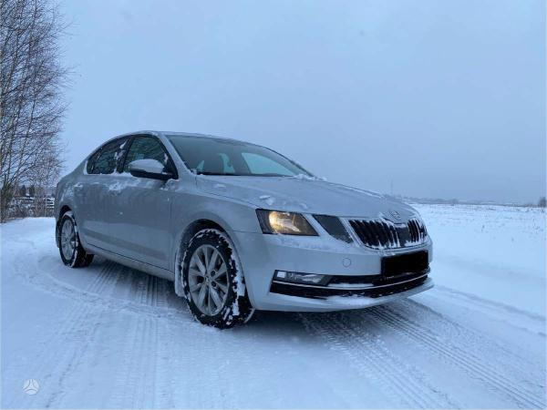 Grey Skoda Octavia 2019 in Vilnius, with an engine capacity of 1.60 L and mileage of 70 thousand km for 11900 €, photo 4 on AUTOMOTO.COM.LV