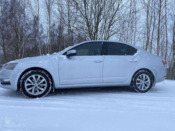 Grey Skoda Octavia 2019 in Vilnius, with an engine capacity of 1.60 L and mileage of 70 thousand km for 11900 €, photo 6 on AUTOMOTO.COM.LV