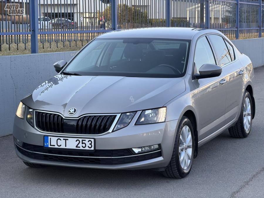 Grey Skoda Octavia 2019 in Vilnius, with an engine capacity of 1.60 L and mileage of 169 thousand km for 11300 €, photo 1 on AUTOMOTO.COM.LV