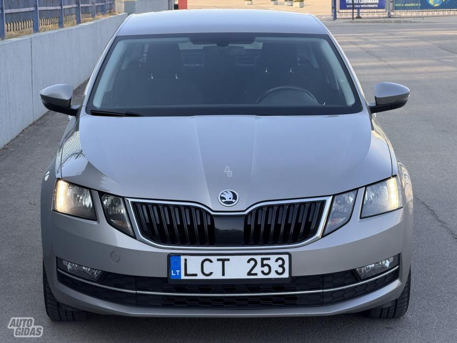 Grey Skoda Octavia 2019 in Vilnius, with an engine capacity of 1.60 L and mileage of 169 thousand km for 11300 €, photo 7 on AUTOMOTO.COM.LV