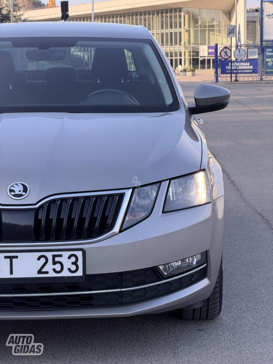 Grey Skoda Octavia 2019 in Vilnius, with an engine capacity of 1.60 L and mileage of 169 thousand km for 11300 €, photo 8 on AUTOMOTO.COM.LV