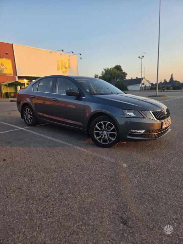 Pelēks Skoda Octavia 2019 Ukmergė, ar dzinēja tilpumu 1.60 L un nobraukumu 190 tūkst. km par 10500 €, foto 1 vietnē AUTOMOTO.COM.LV