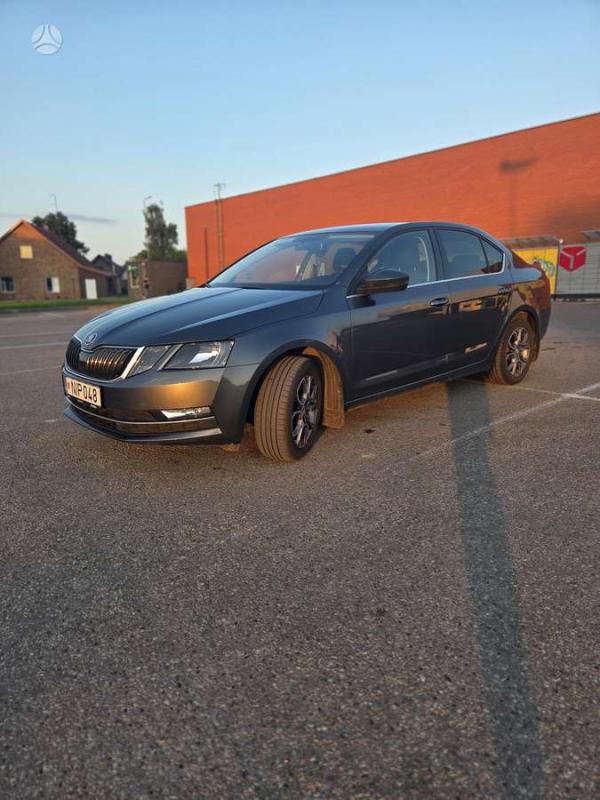 Pelēks Skoda Octavia 2019 Ukmergė, ar dzinēja tilpumu 1.60 L un nobraukumu 190 tūkst. km par 10500 €, foto 2 vietnē AUTOMOTO.COM.LV