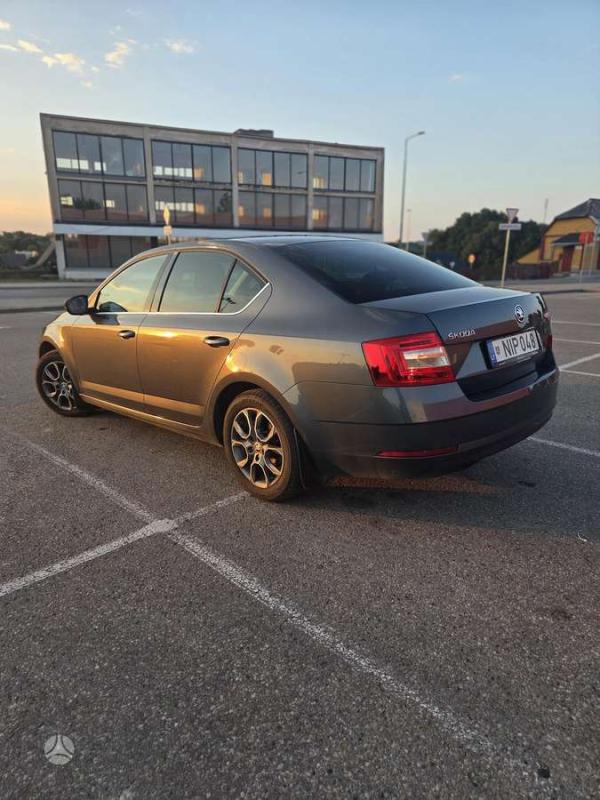 Pelēks Skoda Octavia 2019 Ukmergė, ar dzinēja tilpumu 1.60 L un nobraukumu 190 tūkst. km par 10500 €, foto 3 vietnē AUTOMOTO.COM.LV
