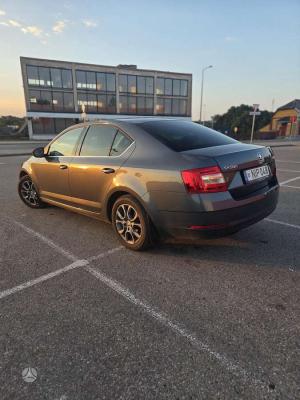 Grey Skoda Octavia 2019 in Ukmerge, with an engine capacity of 1.60 L and mileage of 190 thousand km for 10500 €, photo 4 on AUTOMOTO.COM.LV