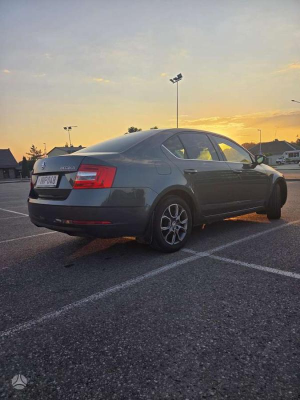 Pelēks Skoda Octavia 2019 Ukmergė, ar dzinēja tilpumu 1.60 L un nobraukumu 190 tūkst. km par 10500 €, foto 4 vietnē AUTOMOTO.COM.LV