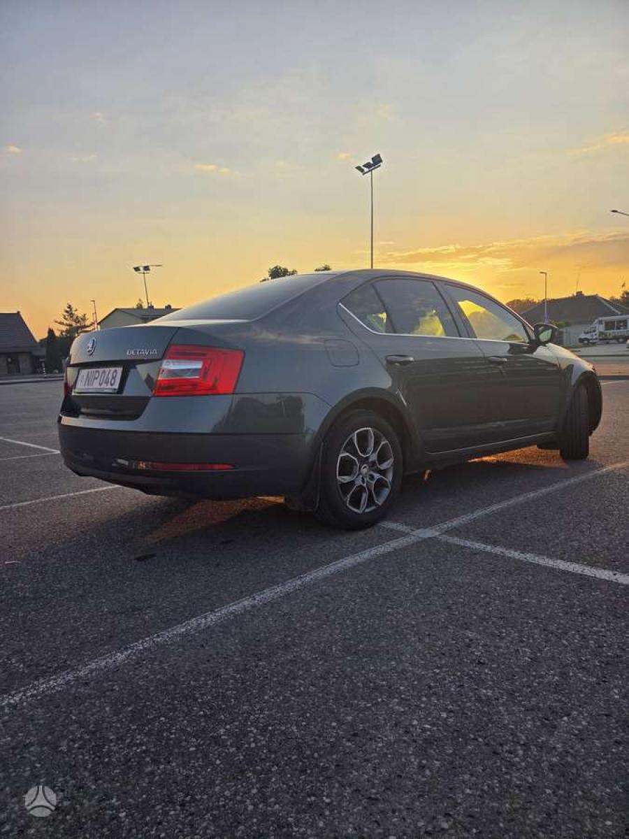Grey Skoda Octavia 2019 in Ukmerge, with an engine capacity of 1.60 L and mileage of 190 thousand km for 10500 €, photo 5 on AUTOMOTO.COM.LV