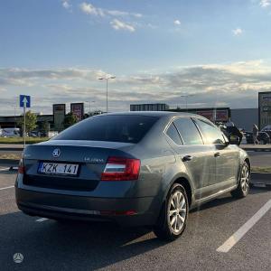Pelēks Skoda Octavia 2019 Viļņa, ar dzinēja tilpumu 1.00 L un nobraukumu 92 tūkst. km par 11500 €, foto 7 vietnē AUTOMOTO.COM.LV