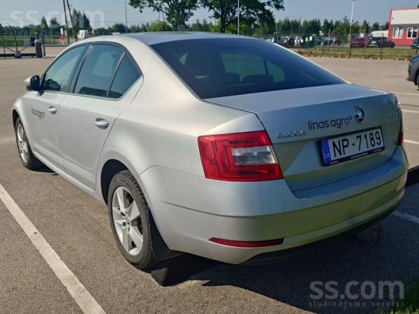 Серый Шкода Октавия 2019 в Елгава, объемом двигателя 1.60 л и пробегом 298 тыс. км за 7500 €, фото 4 на AUTOMOTO.COM.LV