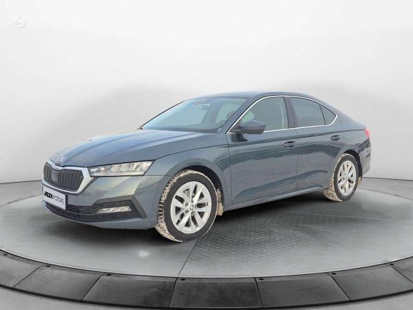 Grey Skoda Octavia 2020 in Klaipeda, with an engine capacity of 1.97 L and mileage of 171 thousand km for 15900 €, photo 3 on AUTOMOTO.COM.LV