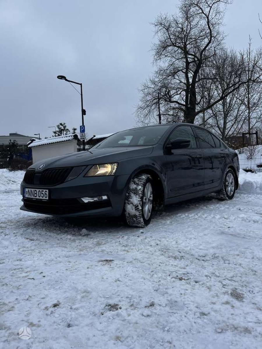 Grey Skoda Octavia 2020 in Vilnius, with an engine capacity of 1.50 L and mileage of 255 thousand km for 8900 €, photo 1 on AUTOMOTO.COM.LV