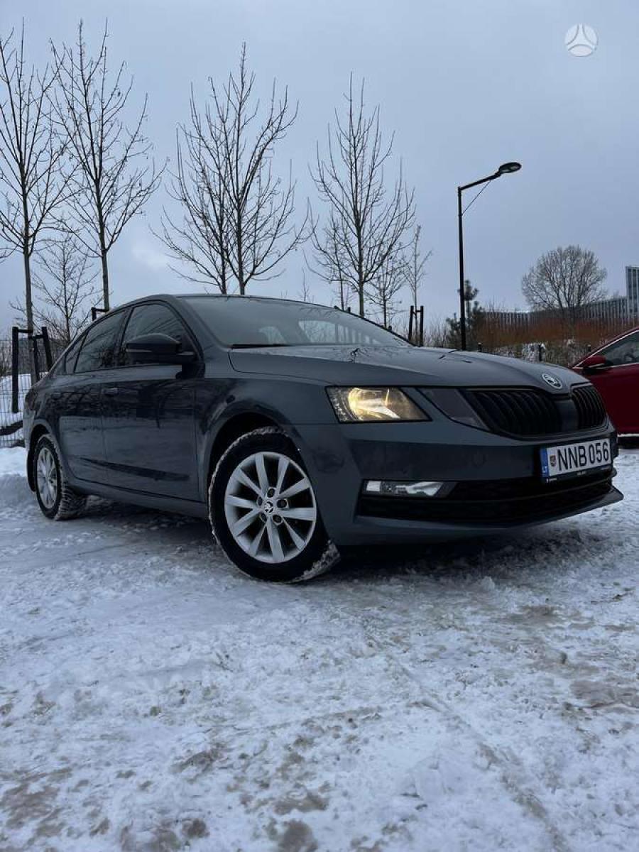 Grey Skoda Octavia 2020 in Vilnius, with an engine capacity of 1.50 L and mileage of 255 thousand km for 8900 €, photo 2 on AUTOMOTO.COM.LV