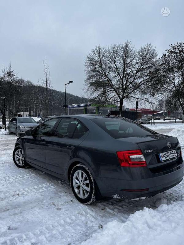 Grey Skoda Octavia 2020 in Vilnius, with an engine capacity of 1.50 L and mileage of 255 thousand km for 8900 €, photo 3 on AUTOMOTO.COM.LV