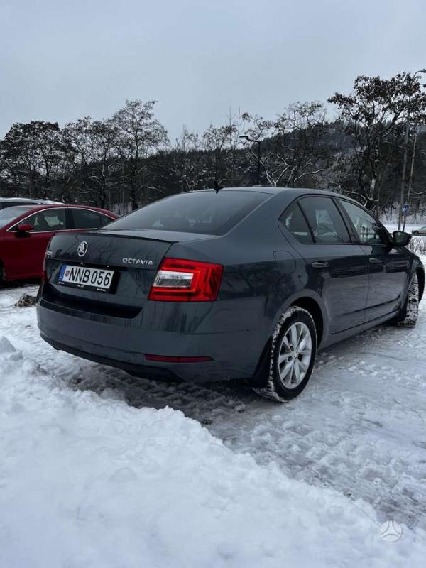 Grey Skoda Octavia 2020 in Vilnius, with an engine capacity of 1.50 L and mileage of 255 thousand km for 8900 €, photo 6 on AUTOMOTO.COM.LV