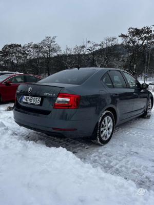 Grey Skoda Octavia 2020 in Vilnius, with an engine capacity of 1.50 L and mileage of 255 thousand km for 8900 €, photo 6 on AUTOMOTO.COM.LV