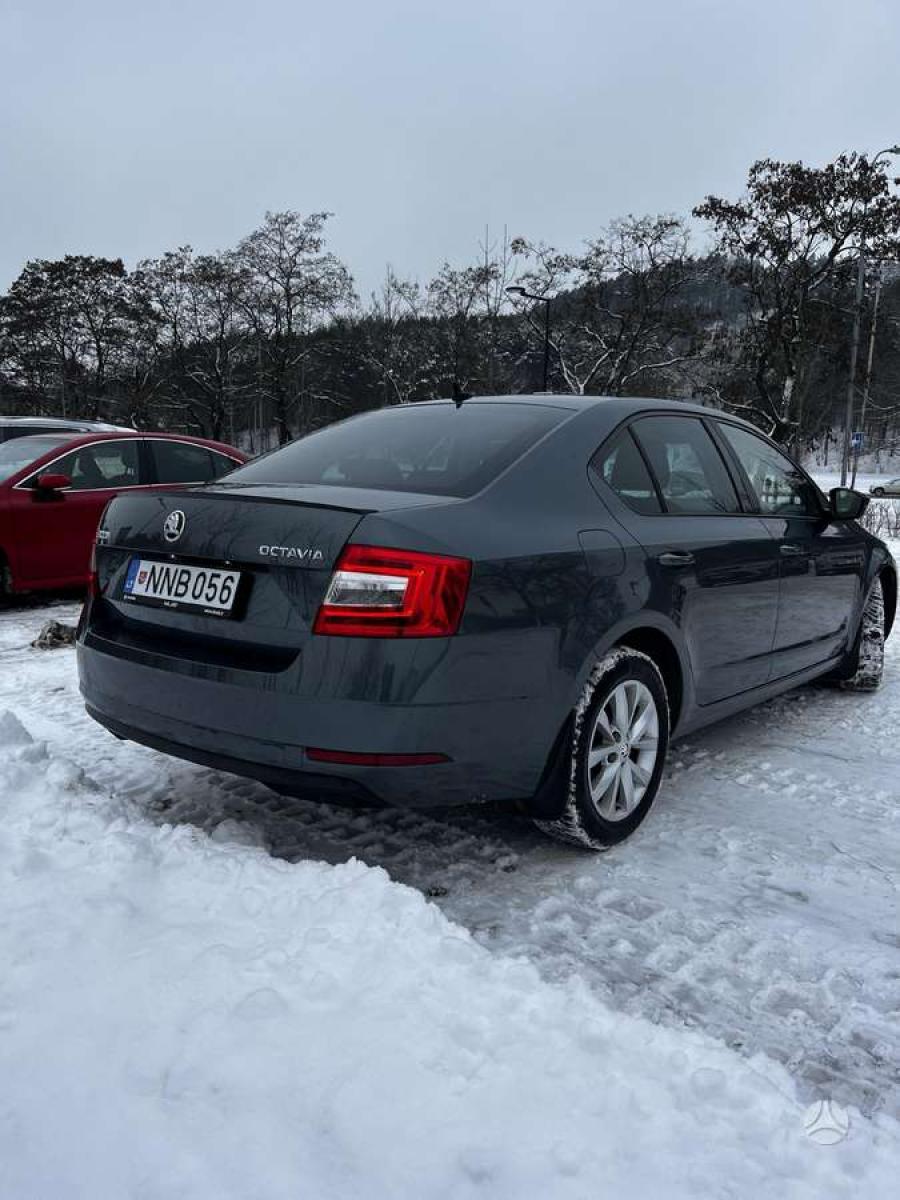 Grey Skoda Octavia 2020 in Vilnius, with an engine capacity of 1.50 L and mileage of 255 thousand km for 8900 €, photo 6 on AUTOMOTO.COM.LV