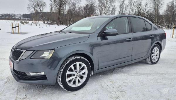 Grey Skoda Octavia 2020 in Utena, with an engine capacity of 1.00 L and mileage of 262 thousand km for 7865 €, photo 1 on AUTOMOTO.COM.LV