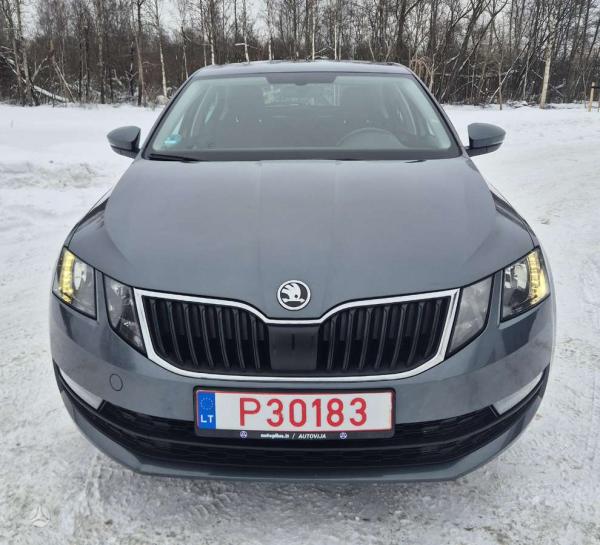 Pelēks Skoda Octavia 2020 Utena, ar dzinēja tilpumu 1.00 L un nobraukumu 262 tūkst. km par 7865 €, foto 2 vietnē AUTOMOTO.COM.LV