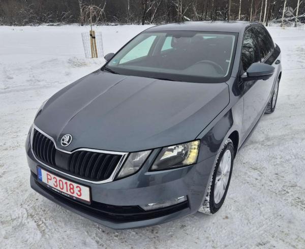 Pelēks Skoda Octavia 2020 Utena, ar dzinēja tilpumu 1.00 L un nobraukumu 262 tūkst. km par 7865 €, foto 4 vietnē AUTOMOTO.COM.LV