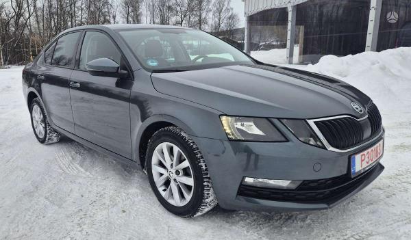 Pelēks Skoda Octavia 2020 Utena, ar dzinēja tilpumu 1.00 L un nobraukumu 262 tūkst. km par 7865 €, foto 6 vietnē AUTOMOTO.COM.LV