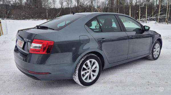 Pelēks Skoda Octavia 2020 Utena, ar dzinēja tilpumu 1.00 L un nobraukumu 262 tūkst. km par 7865 €, foto 9 vietnē AUTOMOTO.COM.LV