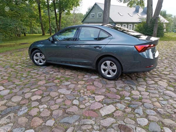 Grey Skoda Octavia 2021 in Anyksciai, with an engine capacity of 1.97 L and mileage of 217 thousand km for 11900 €, photo 5 on AUTOMOTO.COM.LV