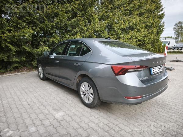 Pelēks Skoda Octavia 2022 Rīga, ar dzinēja tilpumu 1.50 L un nobraukumu 82 tūkst. km par 16200 €, foto 6 vietnē AUTOMOTO.COM.LV
