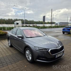 Pelēks Skoda Octavia 2023 Rīga, ar dzinēja tilpumu 2.00 L un nobraukumu 20 tūkst. km par 18900 €, foto 4 vietnē AUTOMOTO.COM.LV