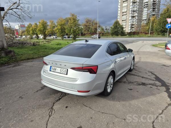 Skoda Octavia 2023 Rīga vietnē Pelēks Skoda Octavia 2023 Rīga, ar dzinēja tilpumu 2.00 L un nobraukumu 147 tūkst. km par 15990 €, foto 6 vietnē AUTOMOTO.COM.LV